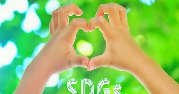 楽天インサイトが「SDGsに関する調査」を実施 ECサイトの「商品説明文」からSDGsへの貢献度合いを判断｜ECのミカタ